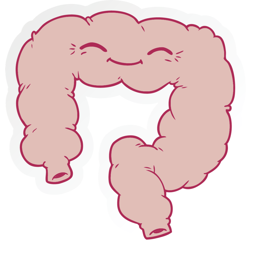 Sobre Nós – Intestino Feliz